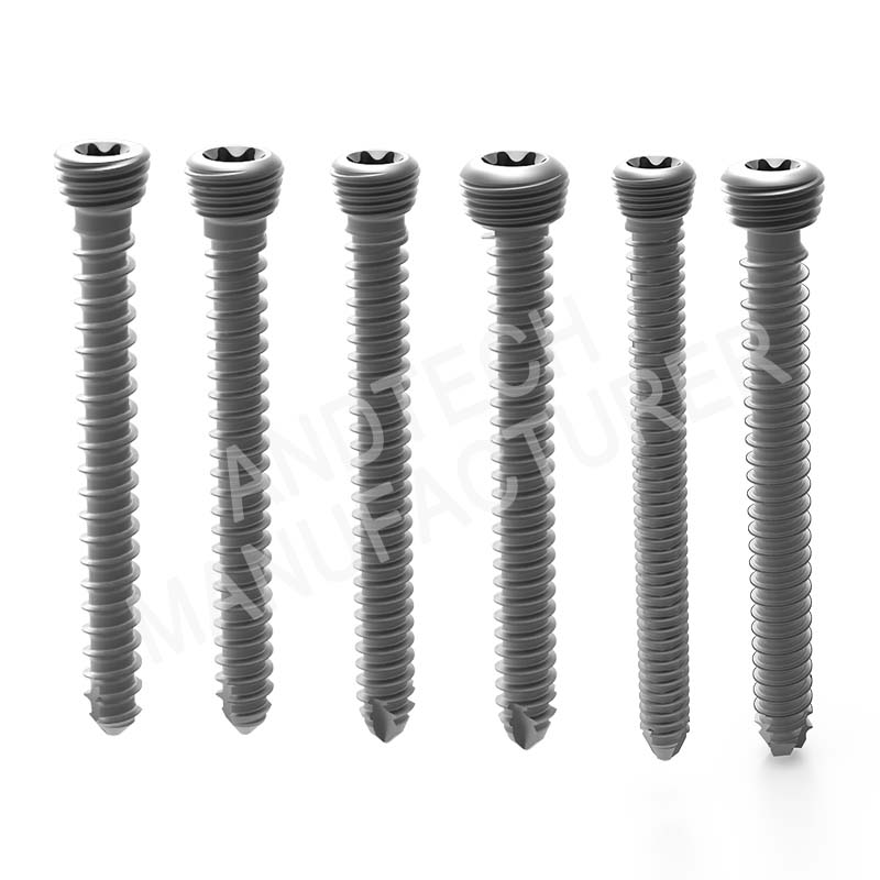 China Famous Dynamic Sports Medicine Company – Pure Titanium Locking ...